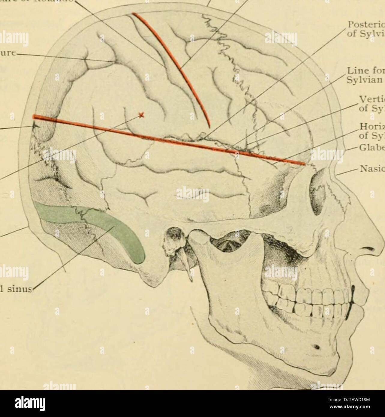 Fissure 18 hi-res stock photography and images - Alamy