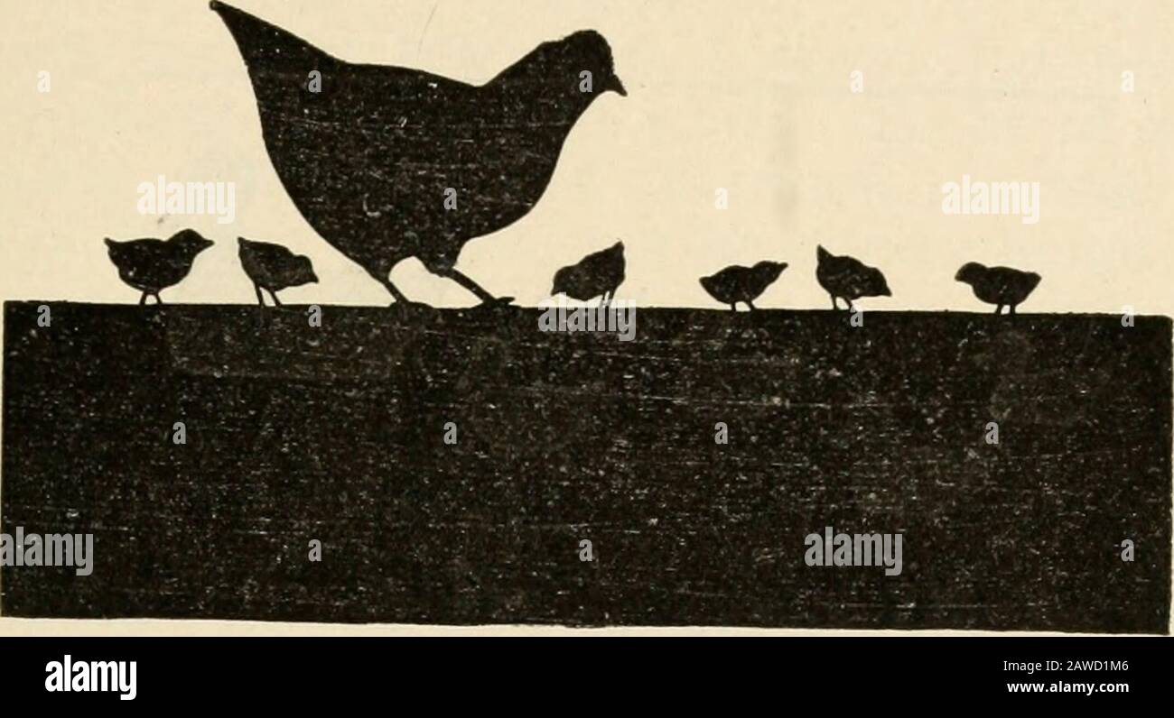 Constructive work; . 156 EXERCISE CCXV.. EXERCISE CCXVI Stock Photo - Alamy