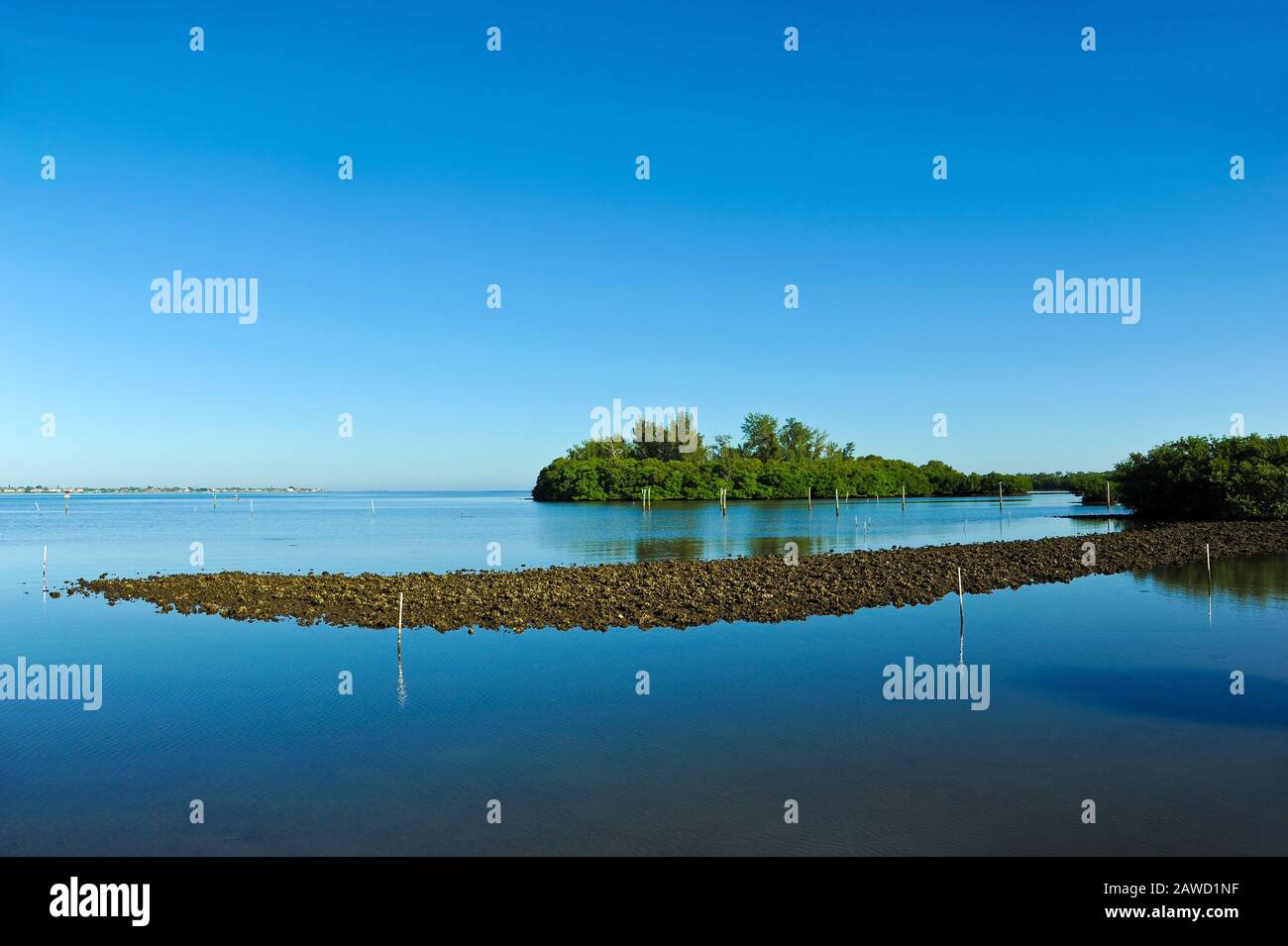 Perico Bayou located on the west coast of Florida between Bradenton and ...