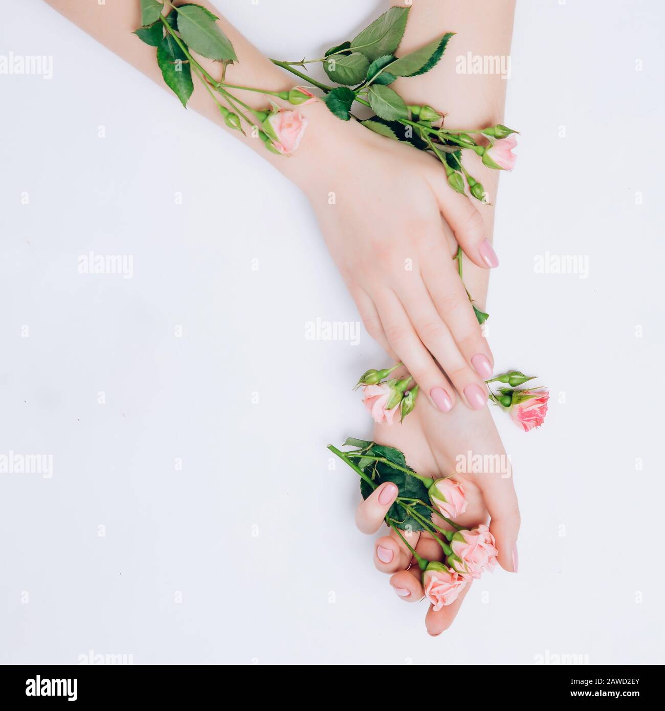 Art photo fashion female hands on white background touch flower, skin ...