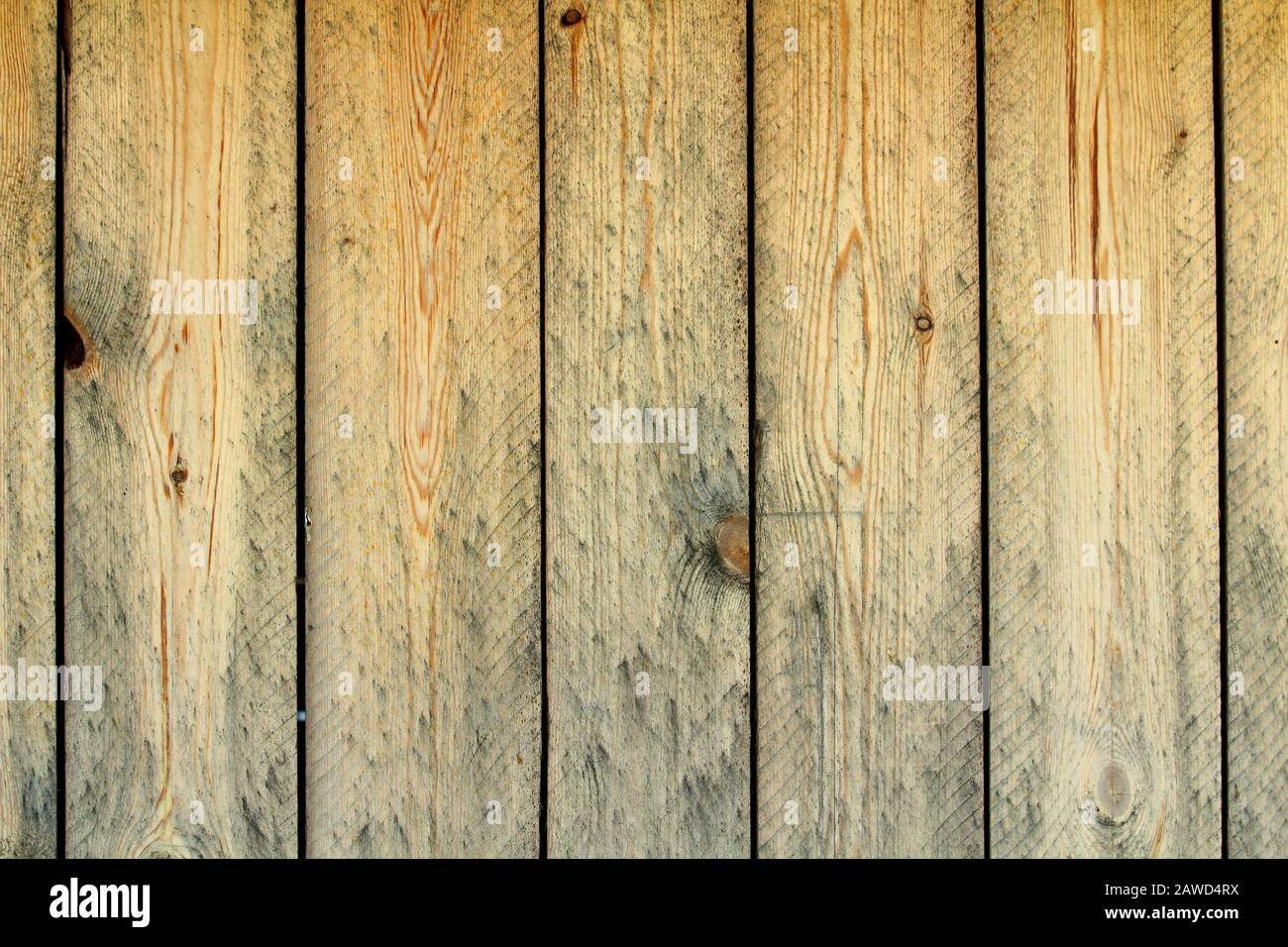 Light yellow wooden wall from boards. Retro texture design template ...