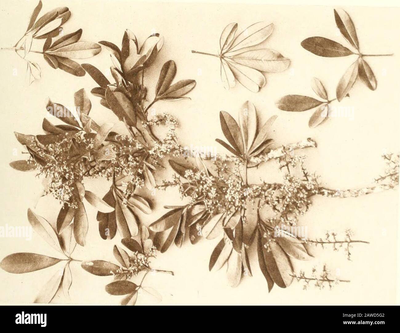 Lesbois hi-res stock photography and images - Alamy