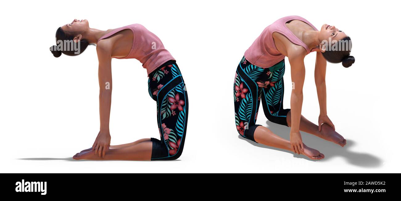 Camel pose Cut Out Stock Images & Pictures - Alamy