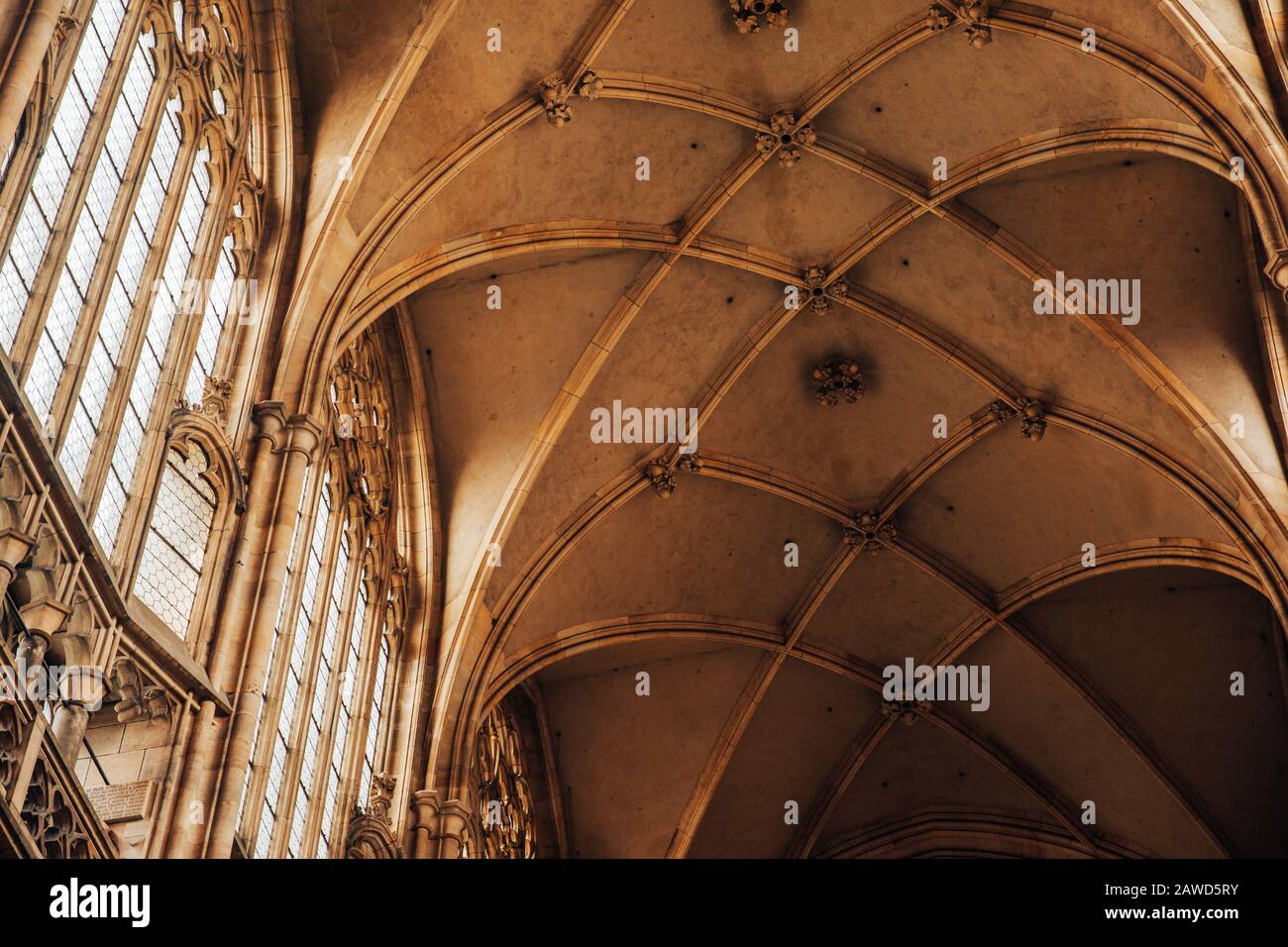 Complex Vault Ceiling