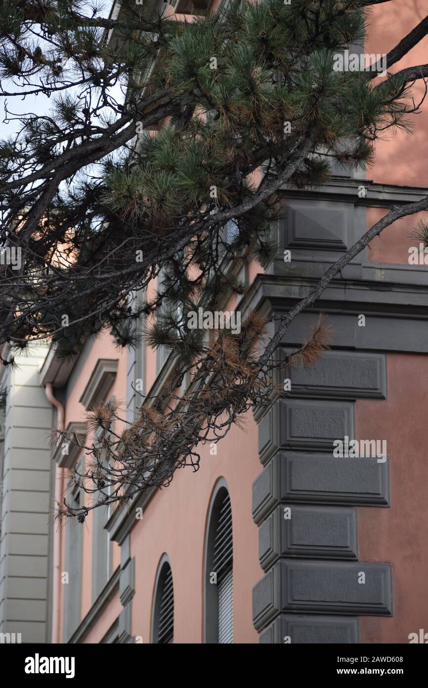 beautiful Corner stones on a House Stock Photo - Alamy