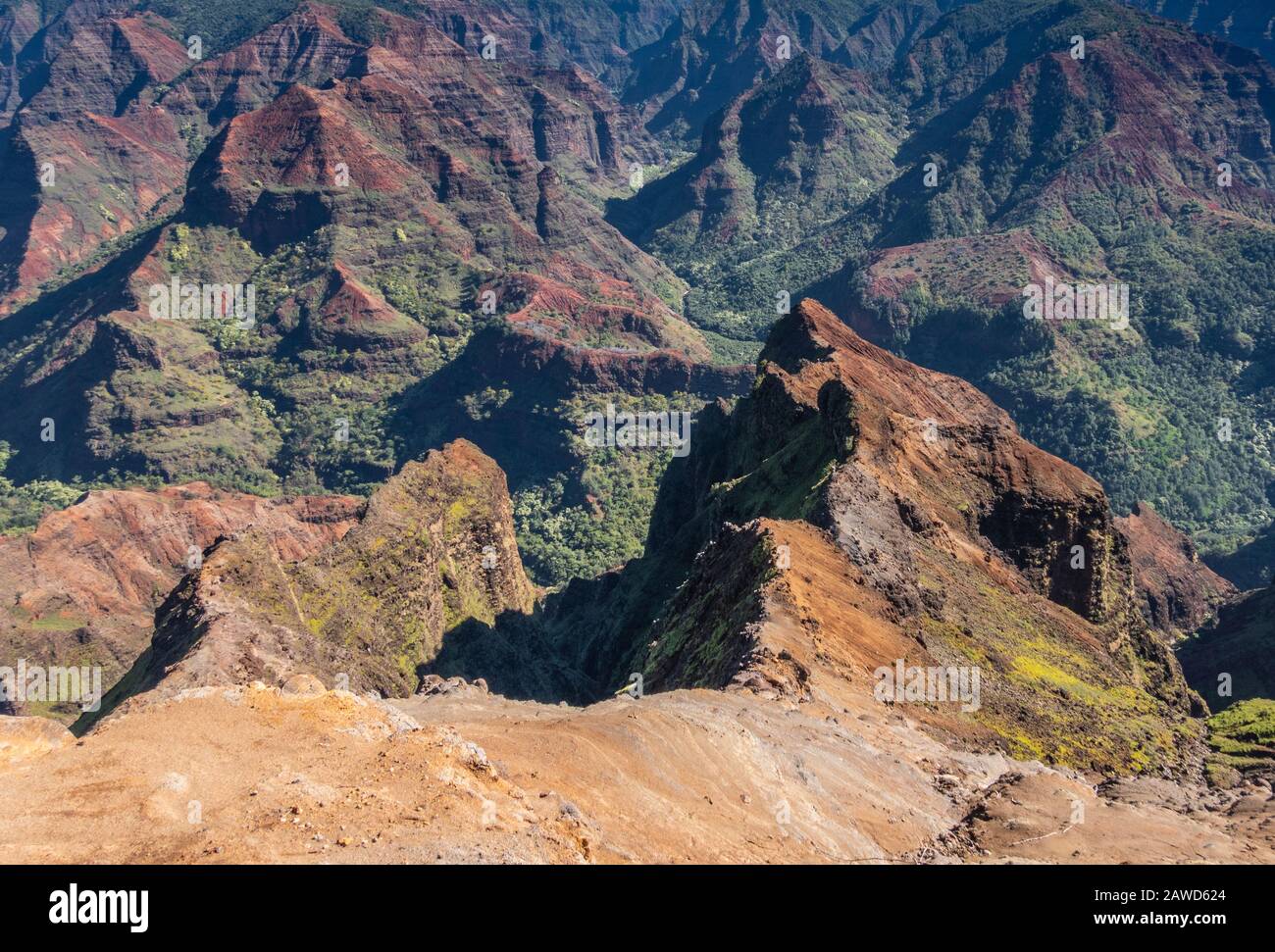 Waimea Canyon, Kauai, Hawaii, USA. - January 16, 2020: Closeup of green ...