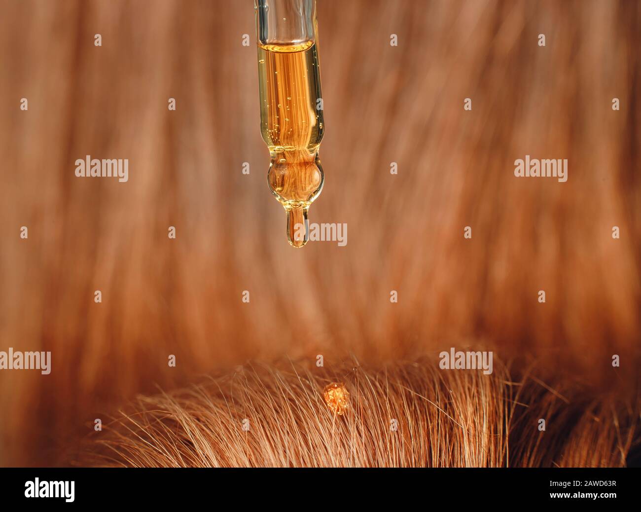 Restoration, nutrition of hair, their roots and tips, Spa treatment ...