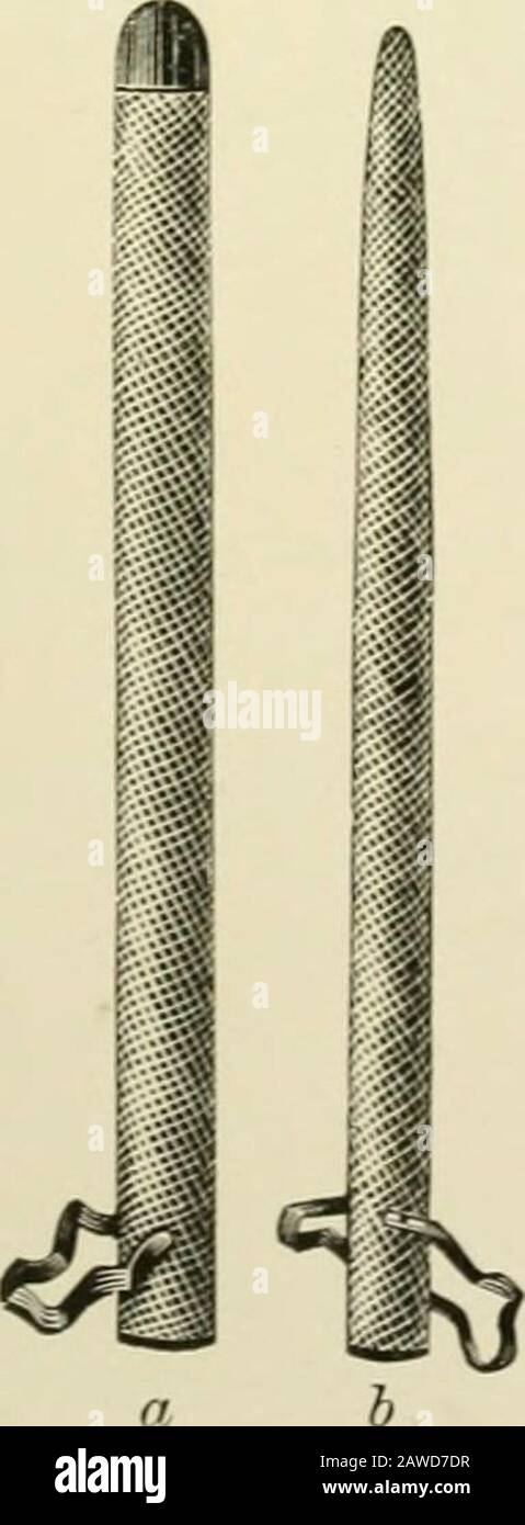 Normal rectum hi-res stock photography and images - Alamy