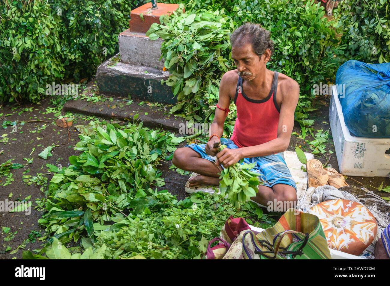 Indian trader on Flower market at Mallick Ghat in Kolkata. India Stock ...
