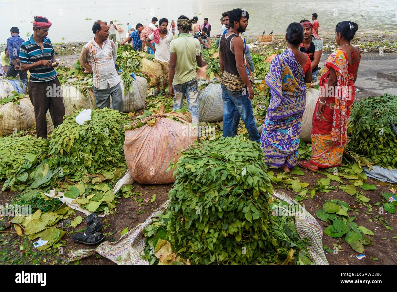 Ganga river agriculture hi-res stock photography and images - Alamy