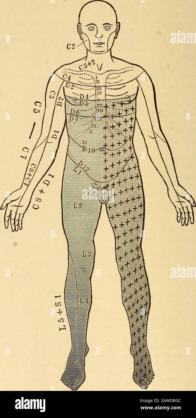 Muscles right leg and foot hi-res stock photography and images - Alamy
