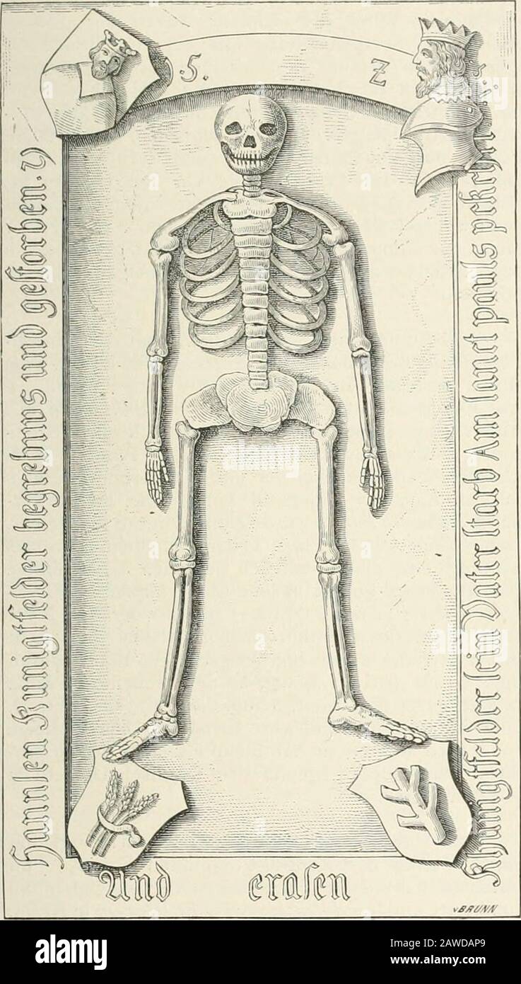 Auf vier beinen hi-res stock photography and images - Alamy