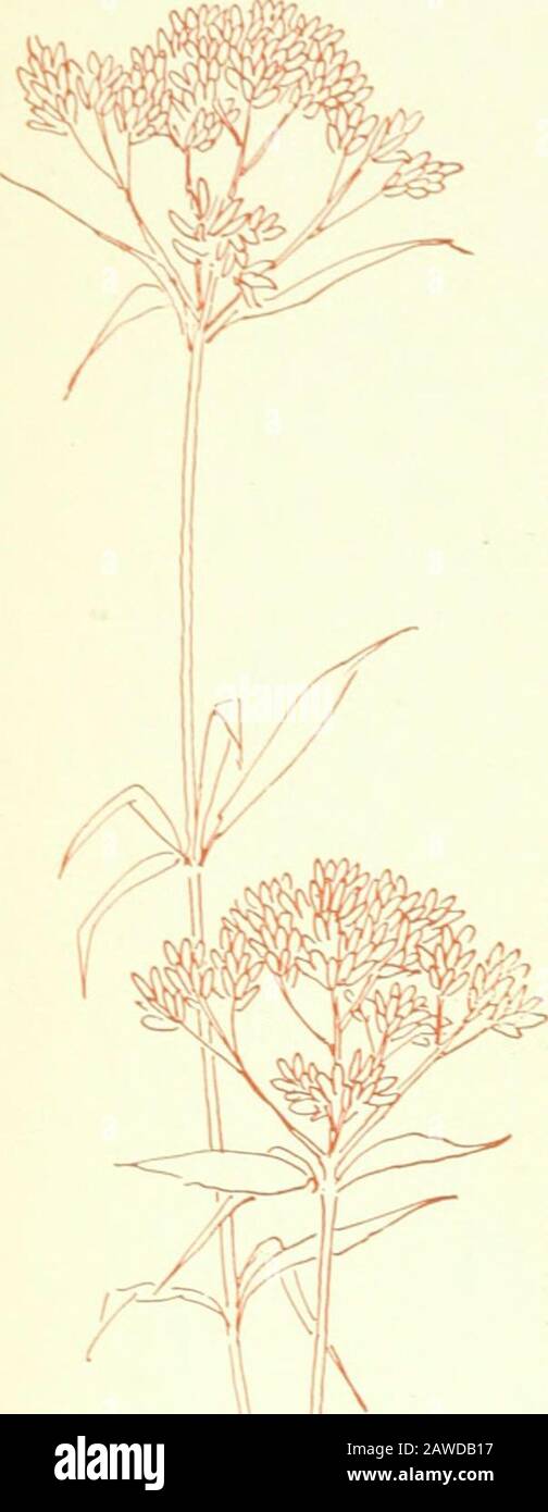 James whitcomb riley hi-res stock photography and images - Alamy