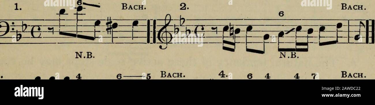 Natural counterpoint hi-res stock photography and images - Alamy