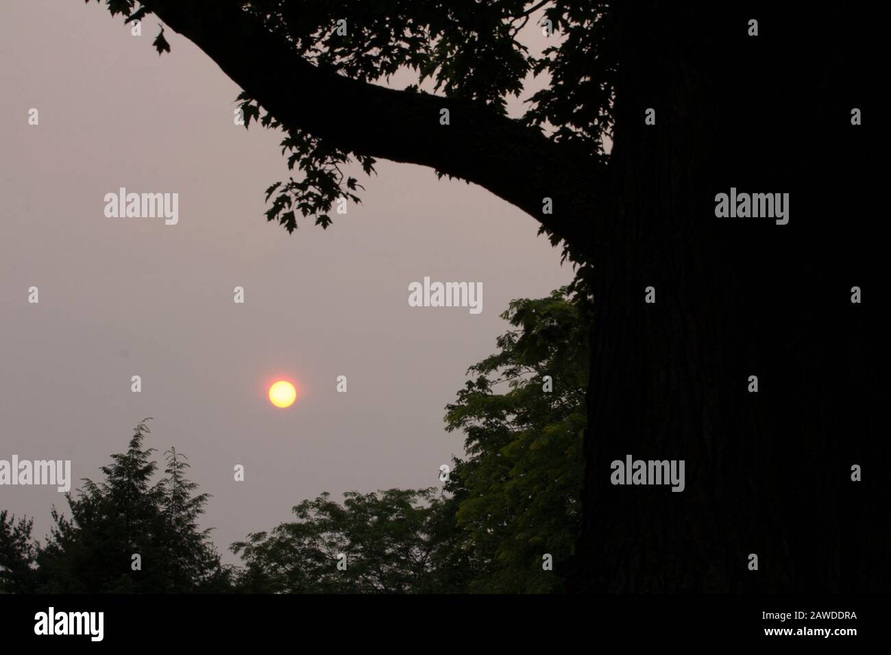 Red Sun Caused by Distant Wildfires Stock Photo - Alamy