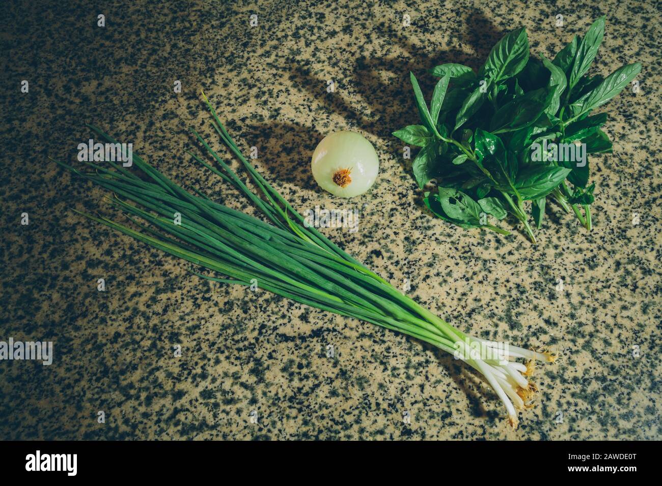 Fresh raw long onion 'Ishikura' (bunching onion), peeled onion (aka ...