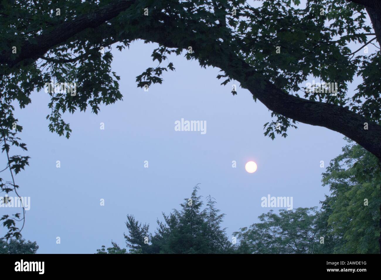 Red Sun Caused by Distant Wildfires Stock Photo - Alamy