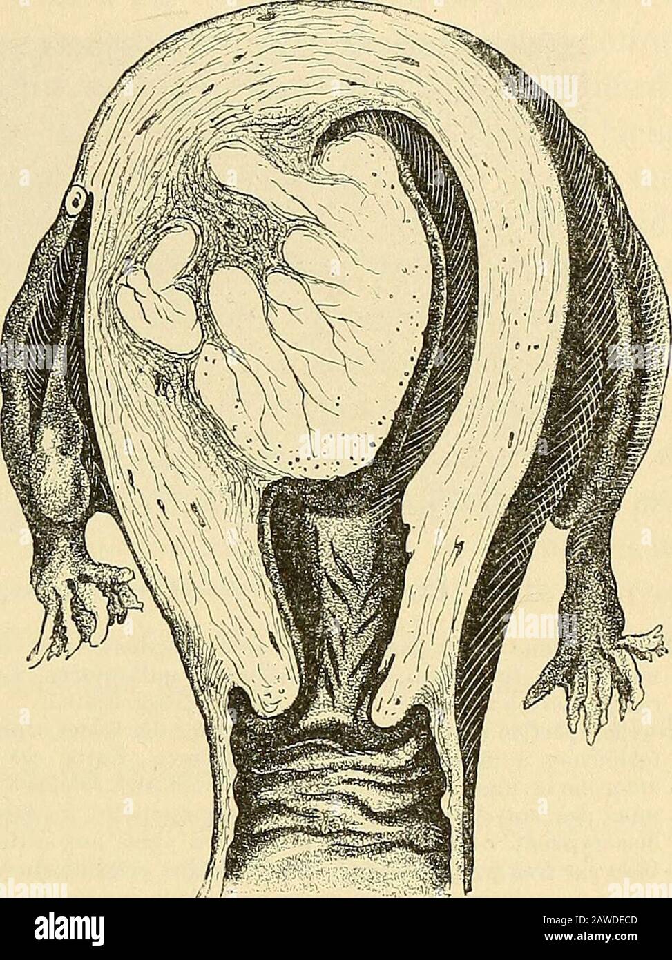 Haut vent hi-res stock photography and images - Alamy