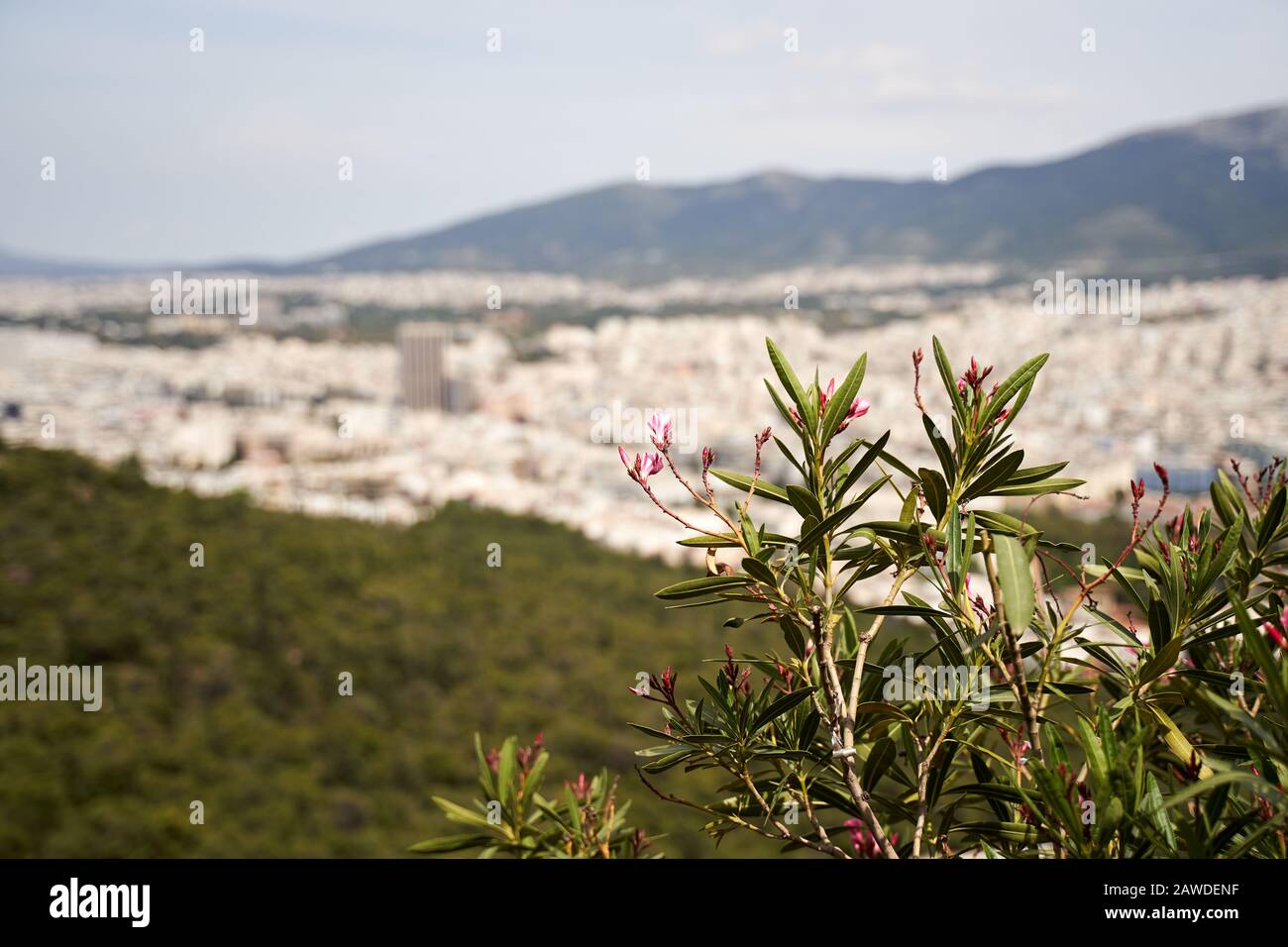 Views of the city of Athens in Greece in Summer Stock Photo - Alamy