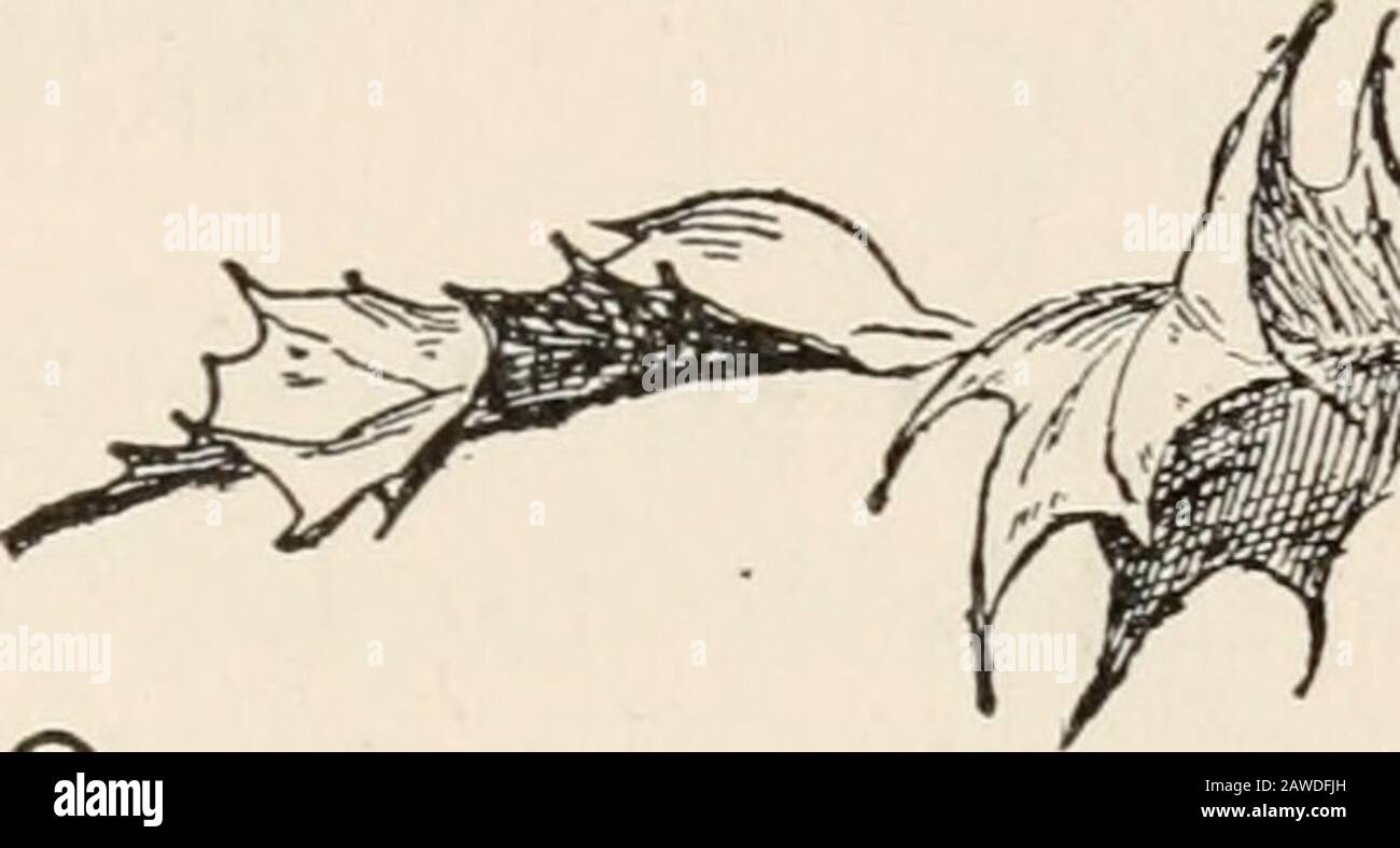 A Christmas carol . to assist a wretched woman with an infant,whom it ...