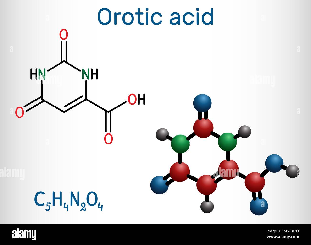 Orotic acid molecule. It is a pyrimidinedione and a carboxylic acid ...