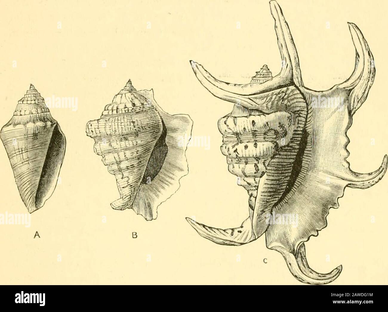 Very small aperture terminal hi-res stock photography and images - Alamy