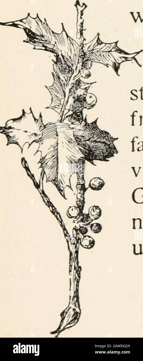 A Christmas carol . 35 B Cbrlstmas Carol. to assist a wretched woman ...