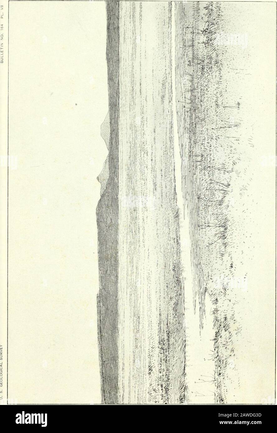 Lenticular bed hi-res stock photography and images - Alamy