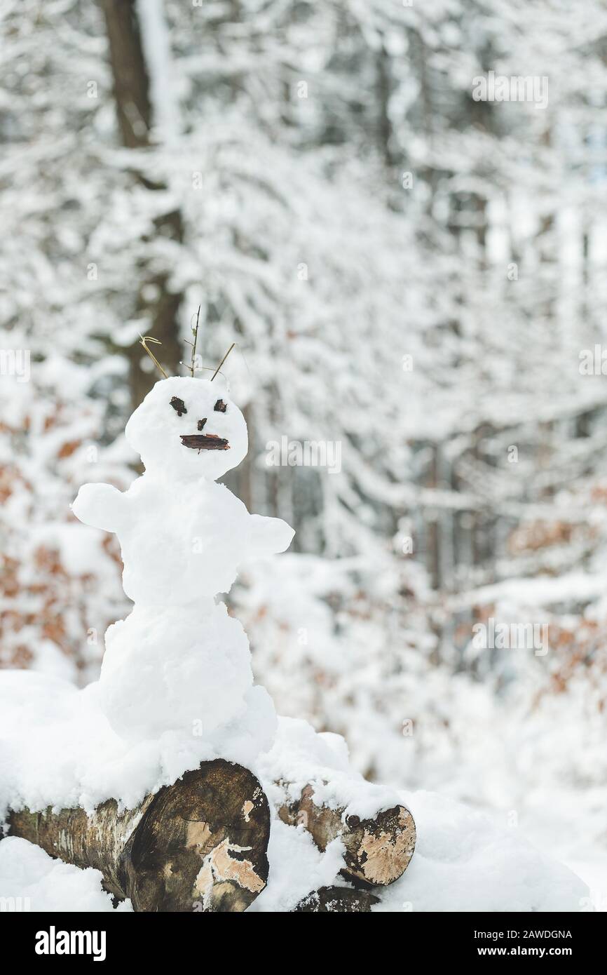 Ugly snowman in snow covered park. Winter concept Stock Photo - Alamy