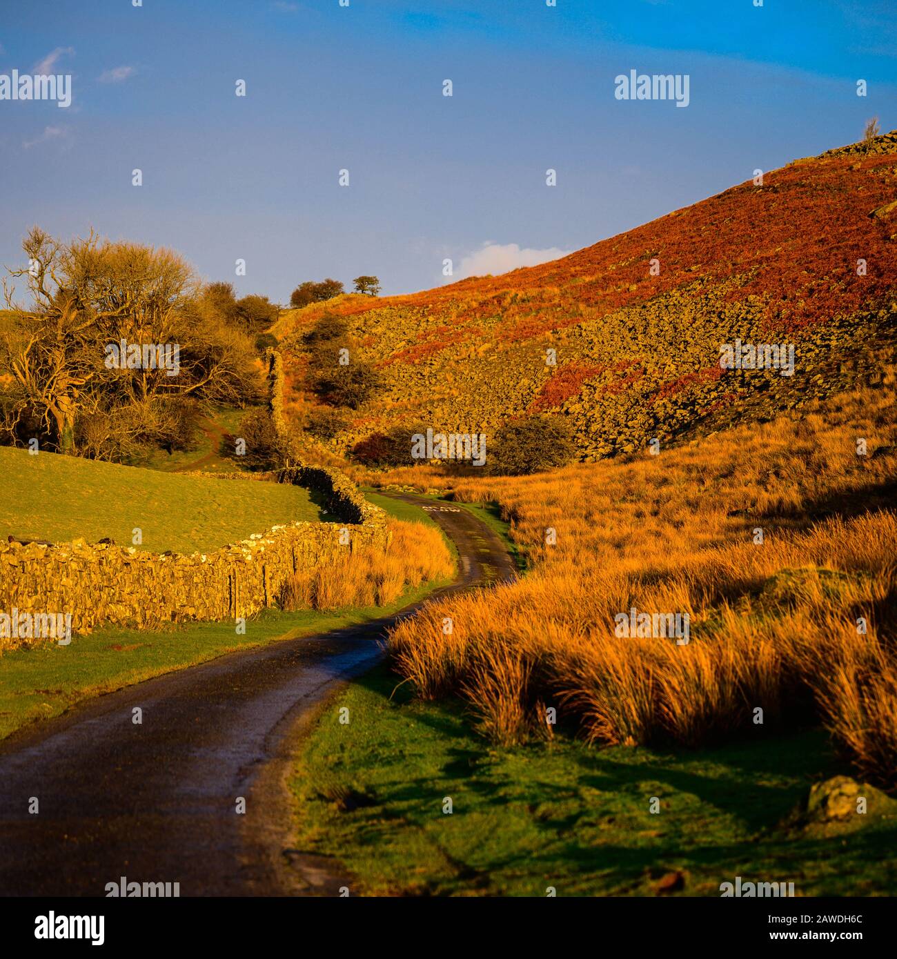 Single track road at the edge of the Brecon beacons follows a drystone ...
