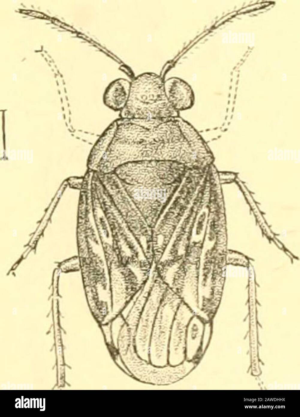 405 vol hi-res stock photography and images - Alamy