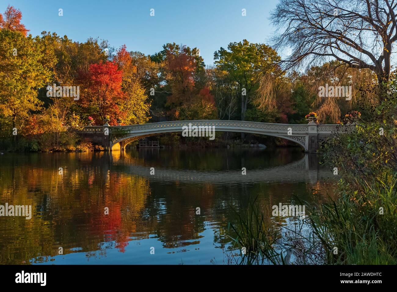Wide Angle View, Bow Bridge, NYC, Fall Stock Photo - Alamy