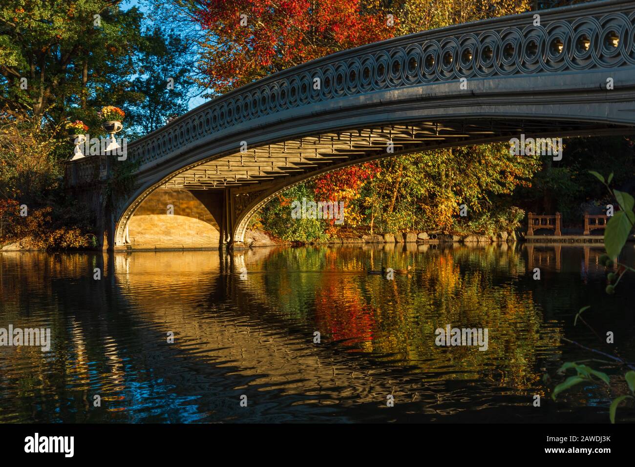 Bow Bridge, Landscape Reflection, Nyc, Fall Stock Photo - Alamy