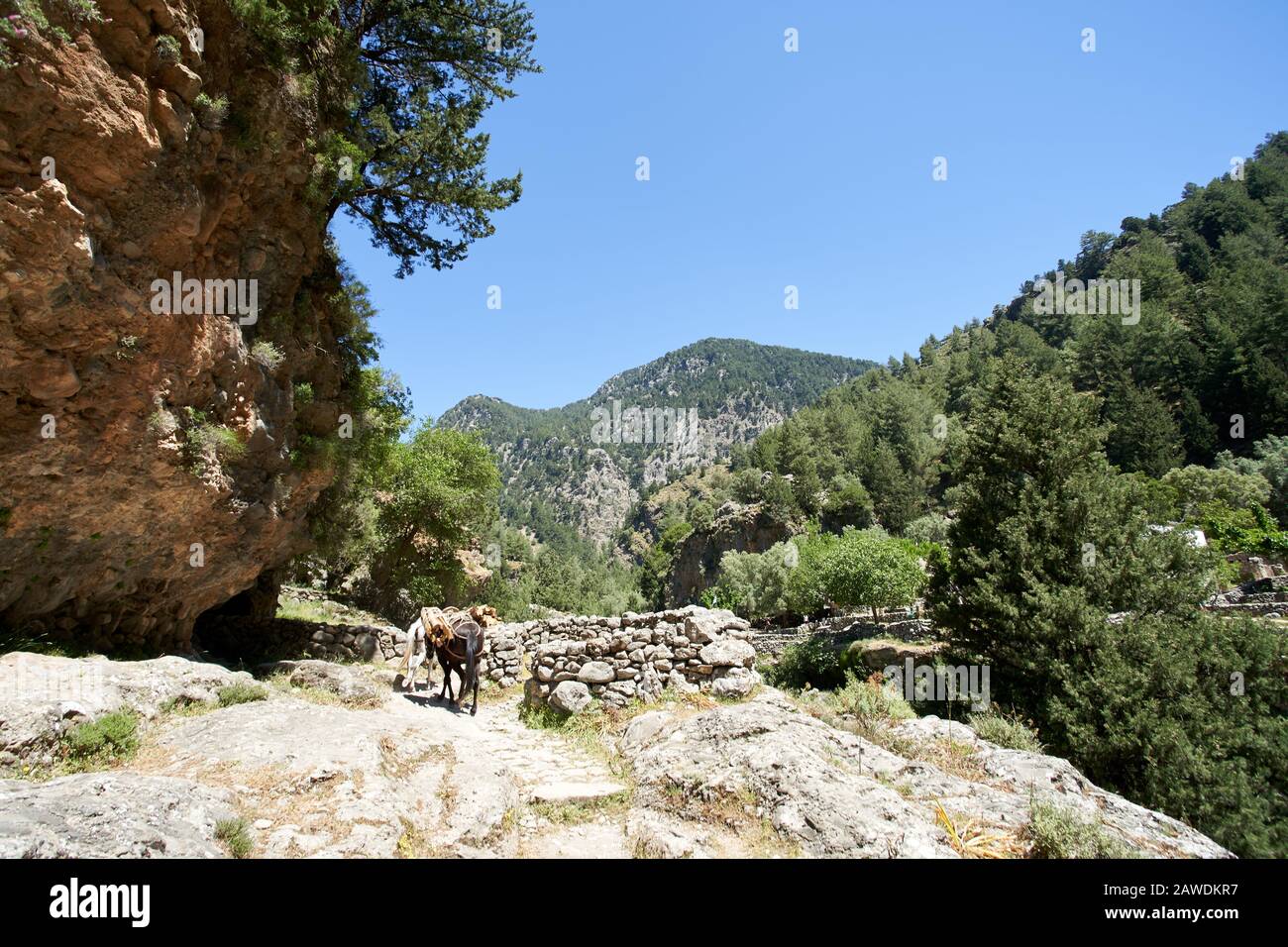 Samaria Gorge hiking path on island of Crete, Greece in summer Stock ...