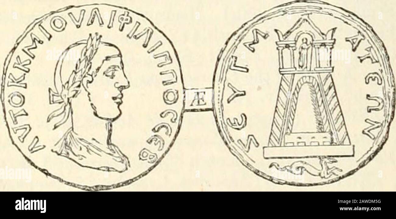 Seleucus Nicator High Resolution Stock Photography and Images - Alamy