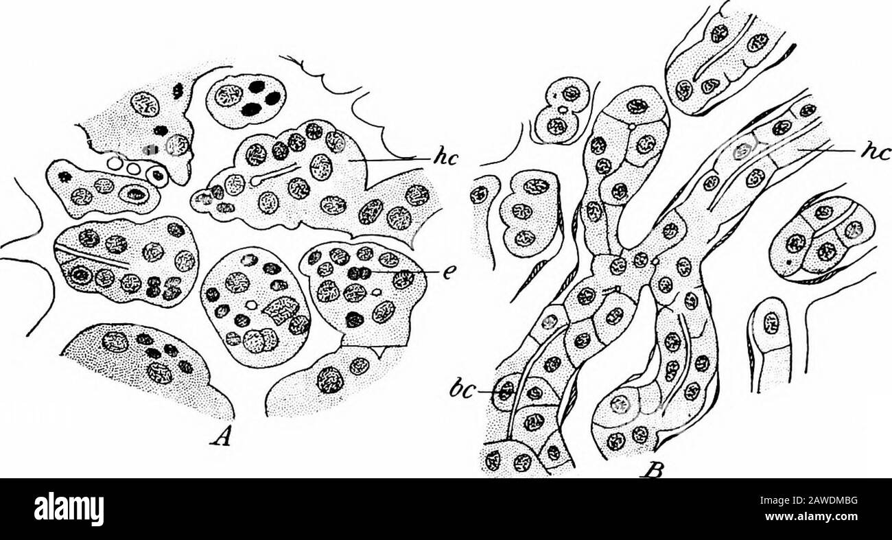 Forming tubes Cut Out Stock Images & Pictures - Alamy
