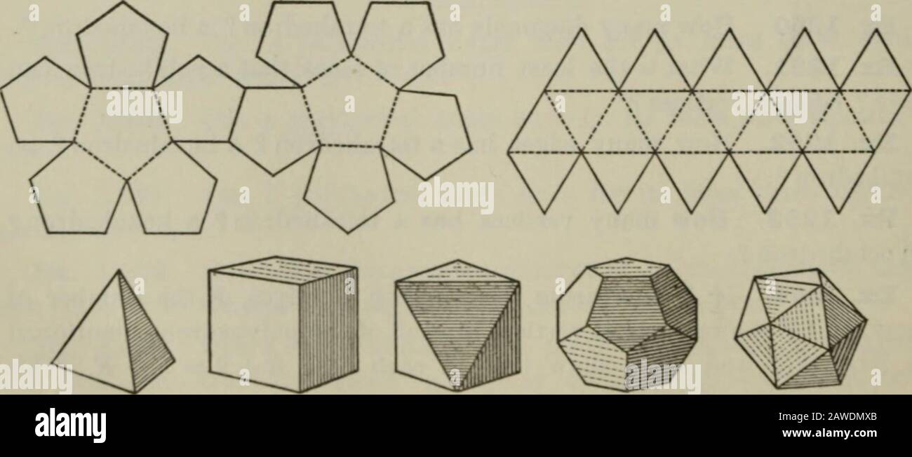 Hippasus hi-res stock photography and images - Alamy