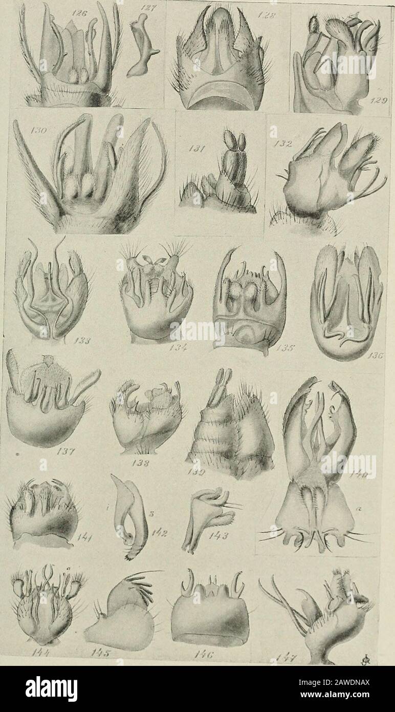 Edith m patch hi-res stock photography and images - Alamy