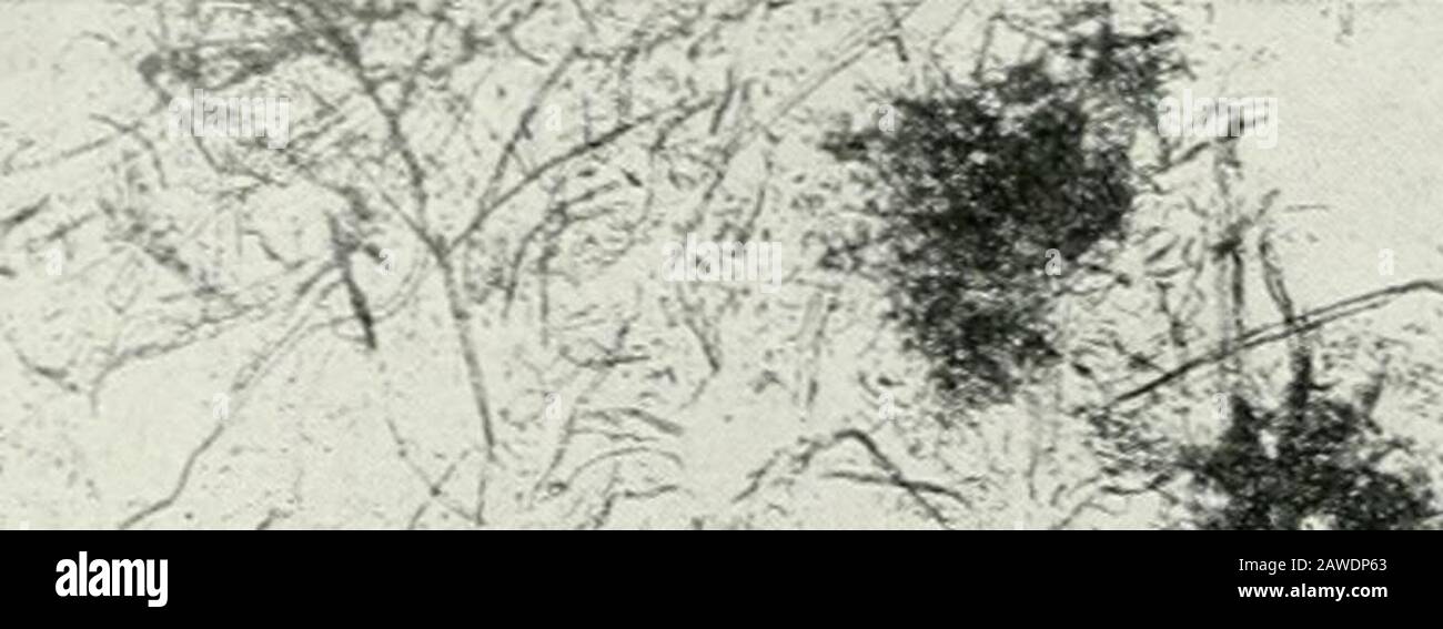 Pulp and paper magazine of Canada Stock Photo - Alamy