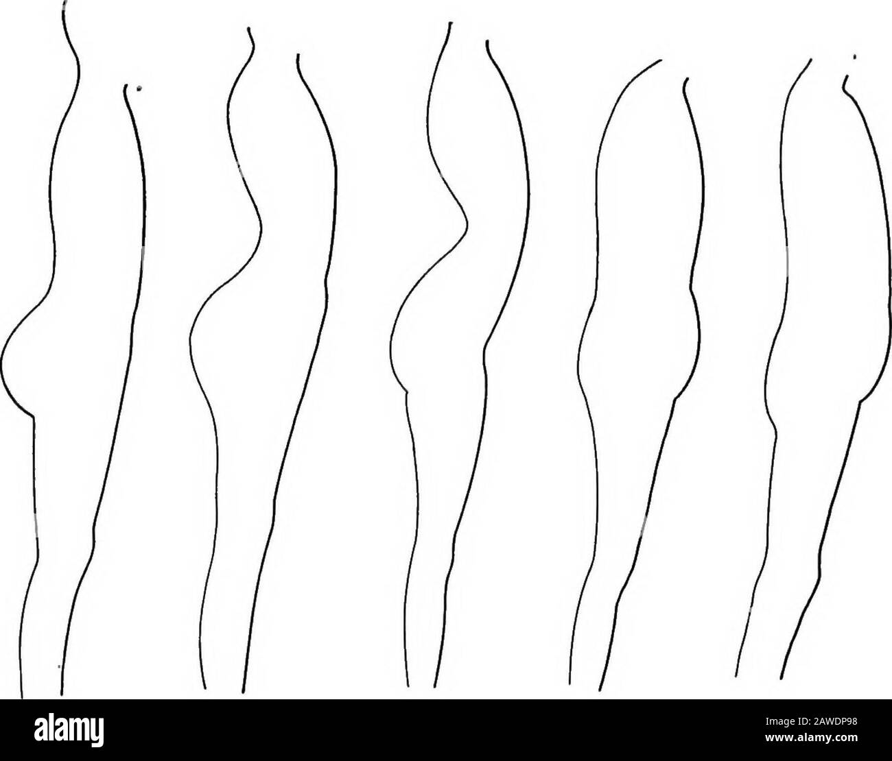 Pointing toes hi-res stock photography and images - Alamy