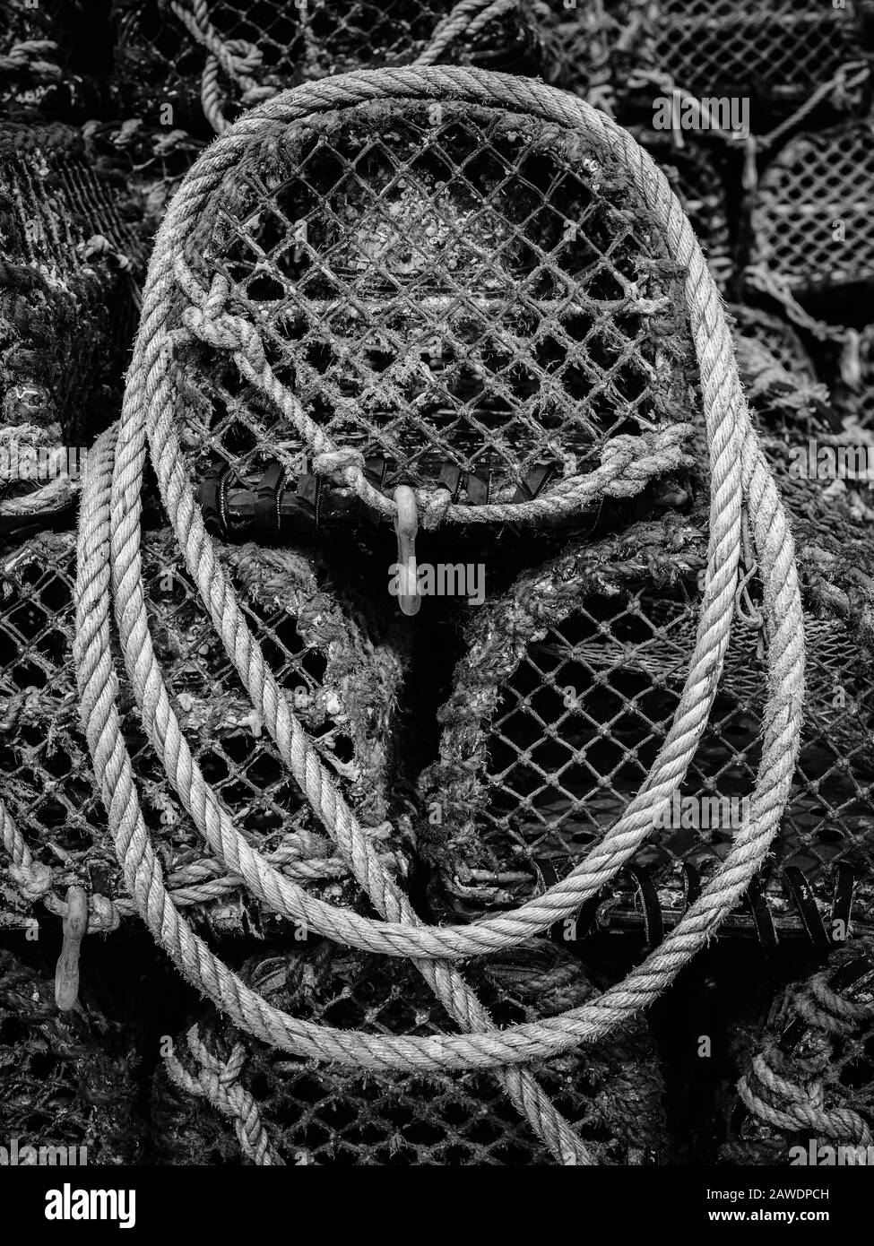 Welsh knot hi-res stock photography and images - Alamy