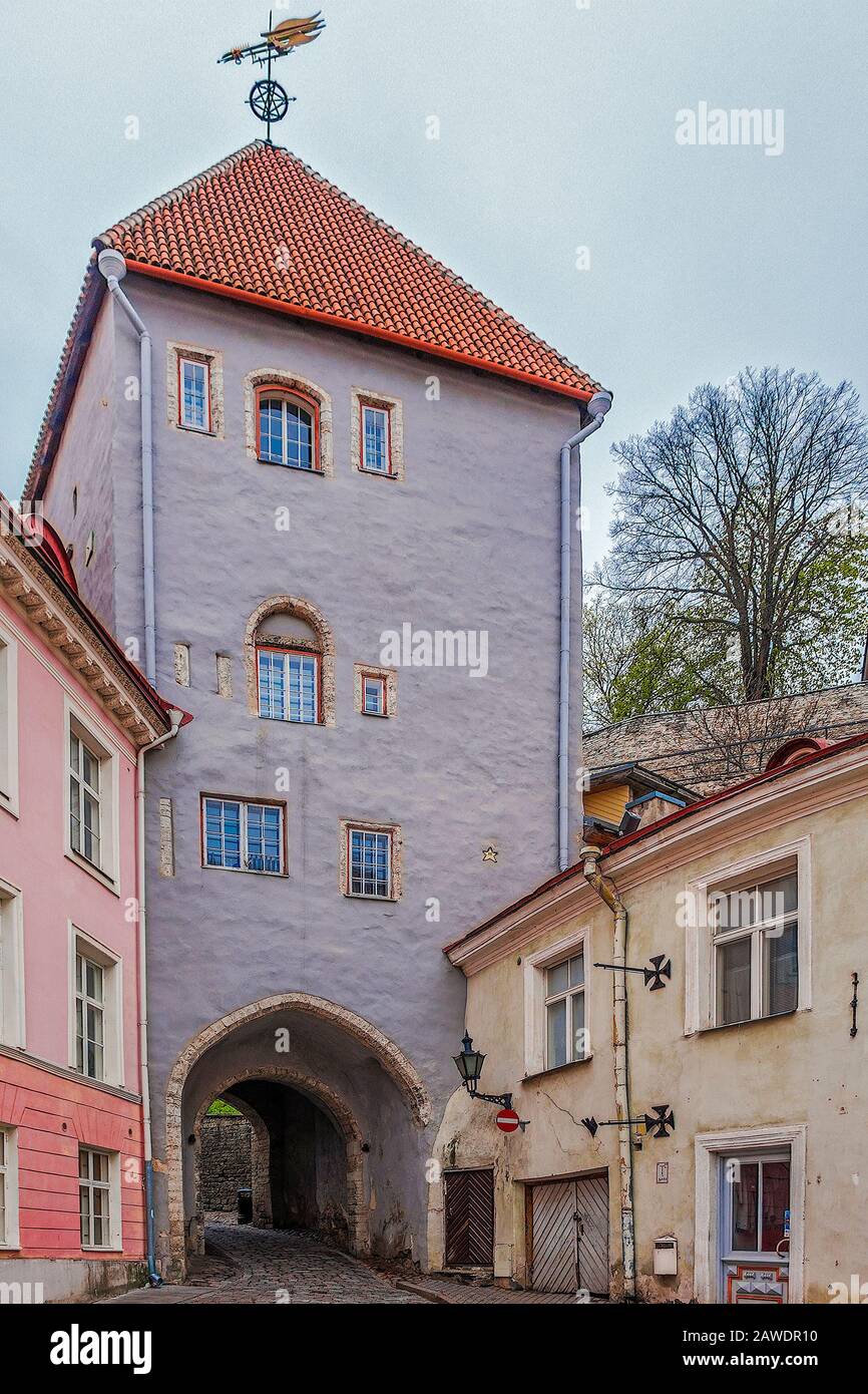 Long Leg Gate Tower Tallinn Estonia Stock Photo - Alamy