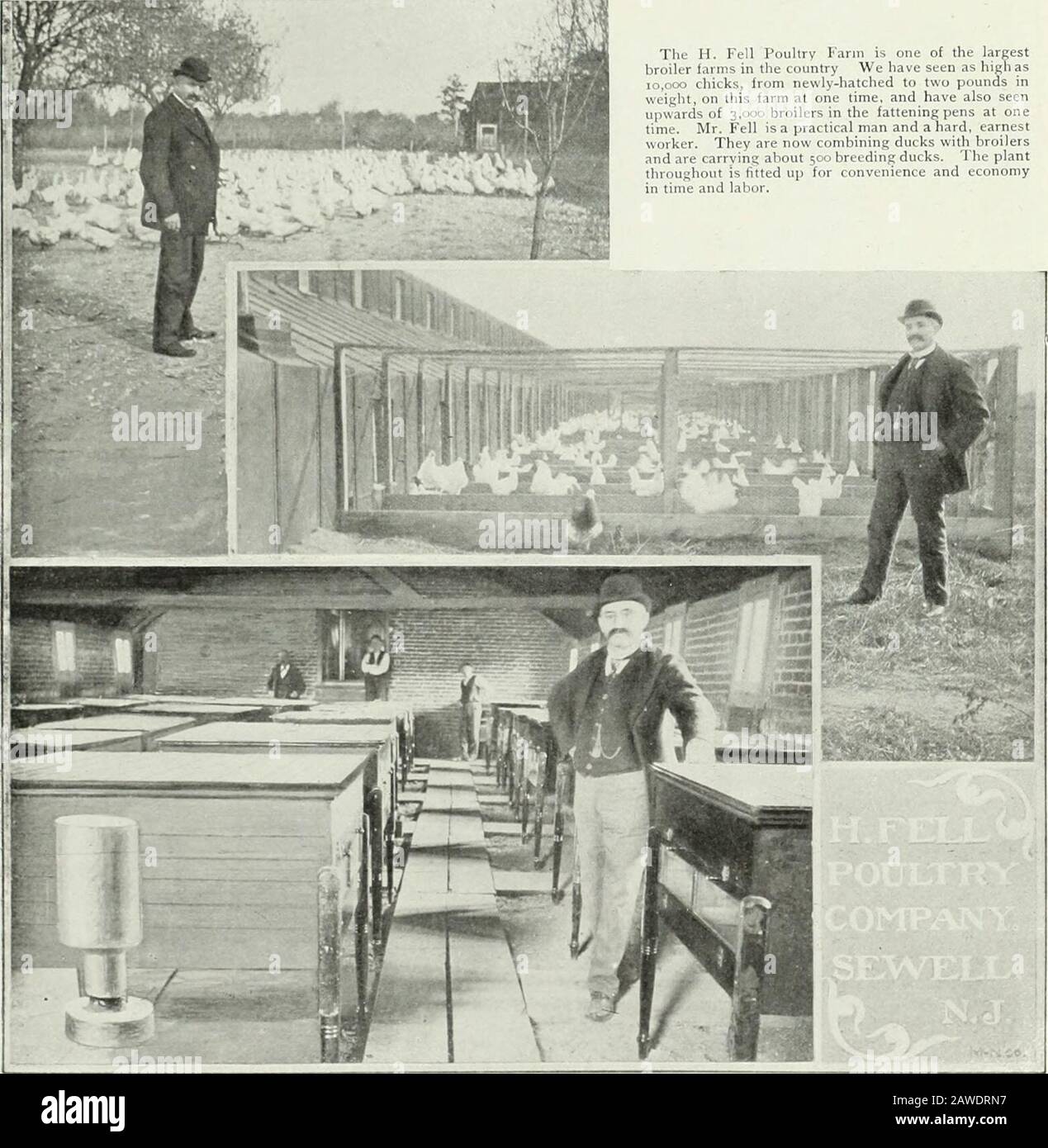 Fairview poultry hi-res stock photography and images - Alamy