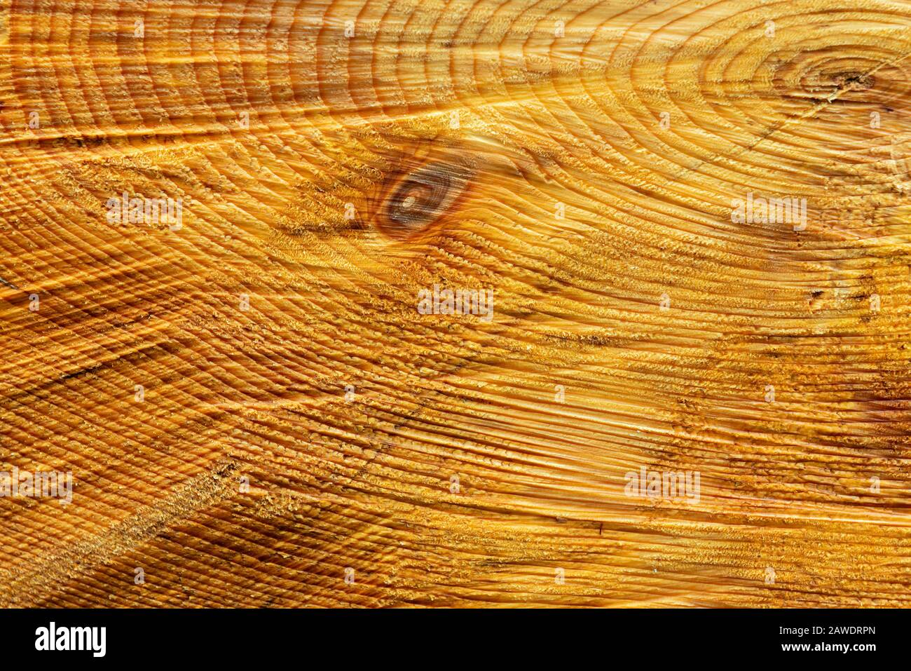 Wood grain in the cut surface of a tree Stock Photo - Alamy