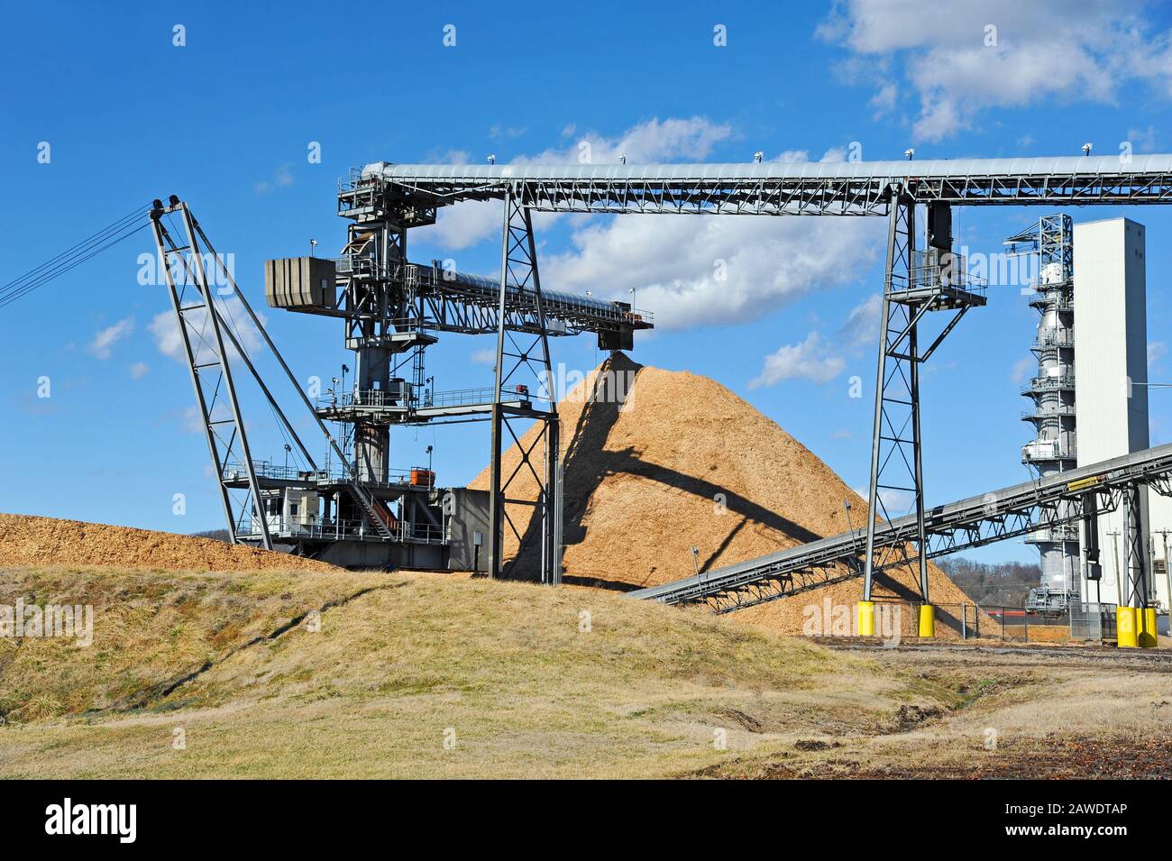 Pulpwood hi-res stock photography and images - Alamy