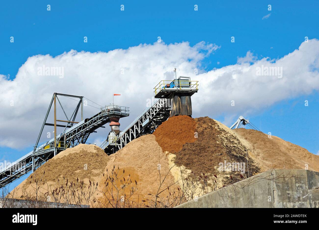 Wood chips paper pulp mill hi-res stock photography and images - Alamy