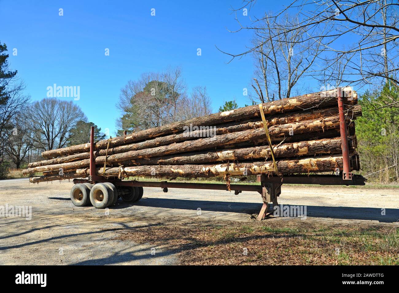 A Trailer Load of Logs for Highway Transport Stock Photo - Alamy