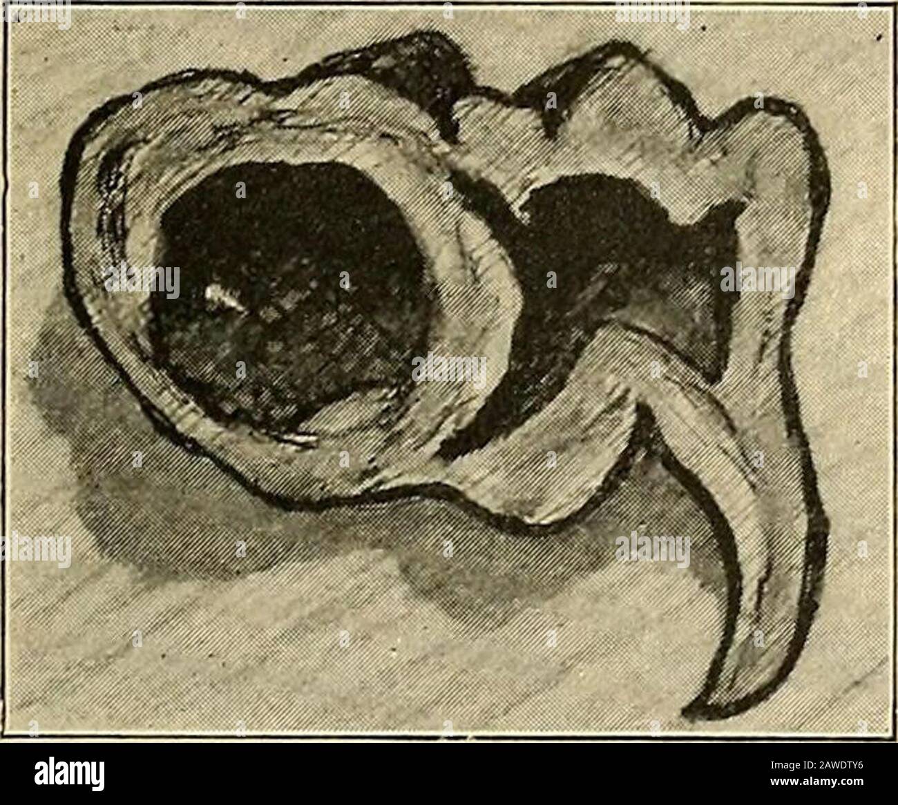 Cementoma hi-res stock photography and images - Alamy