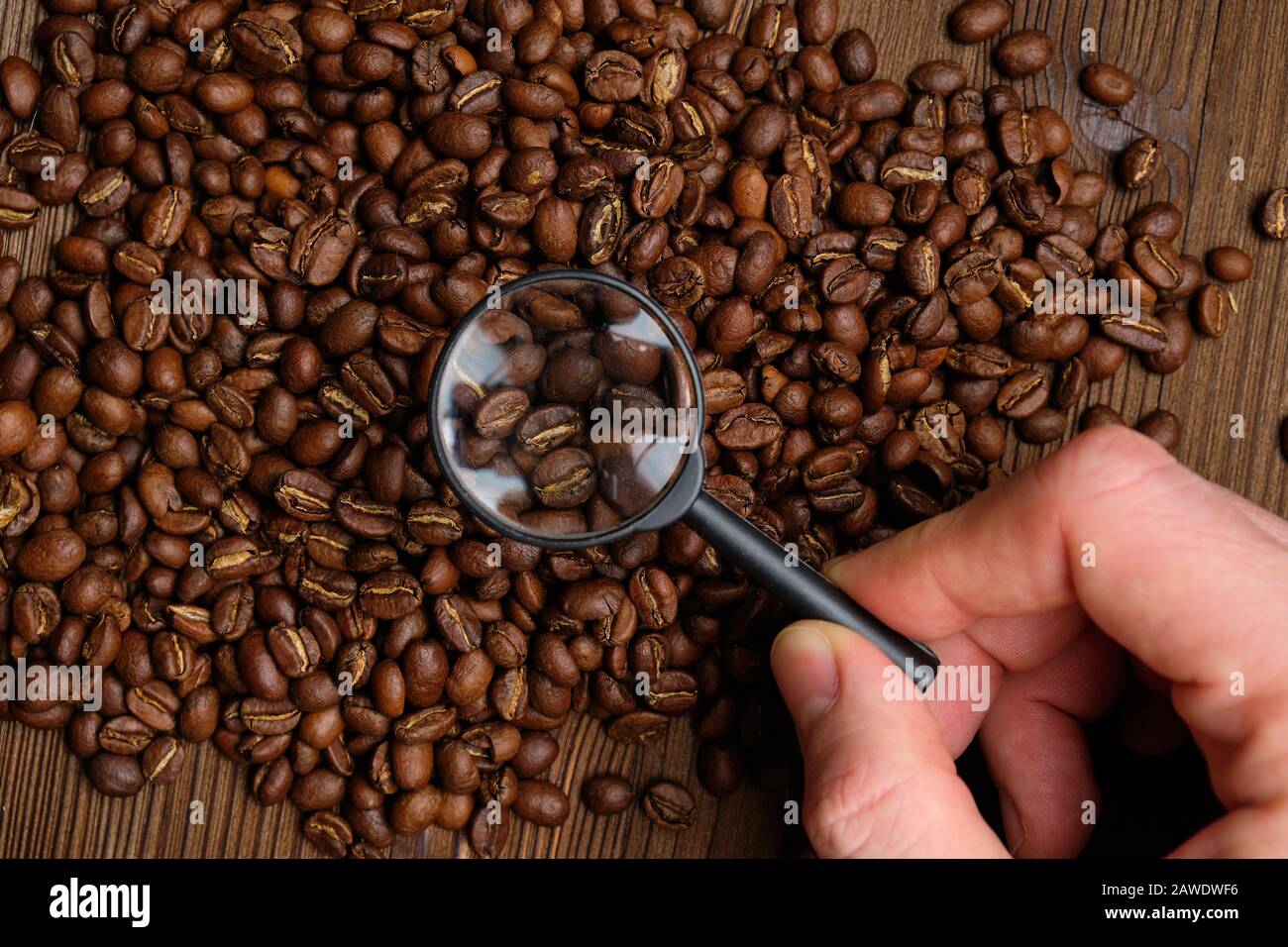 The concept of selection of coffee beans in the premium segment. The ...