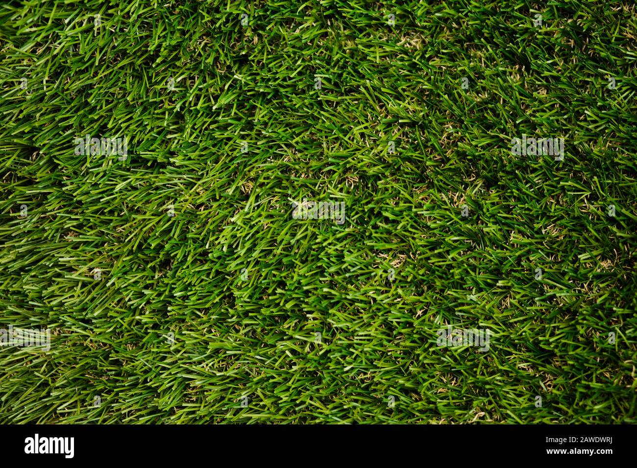 Grass texture top view hi-res stock photography and images - Alamy